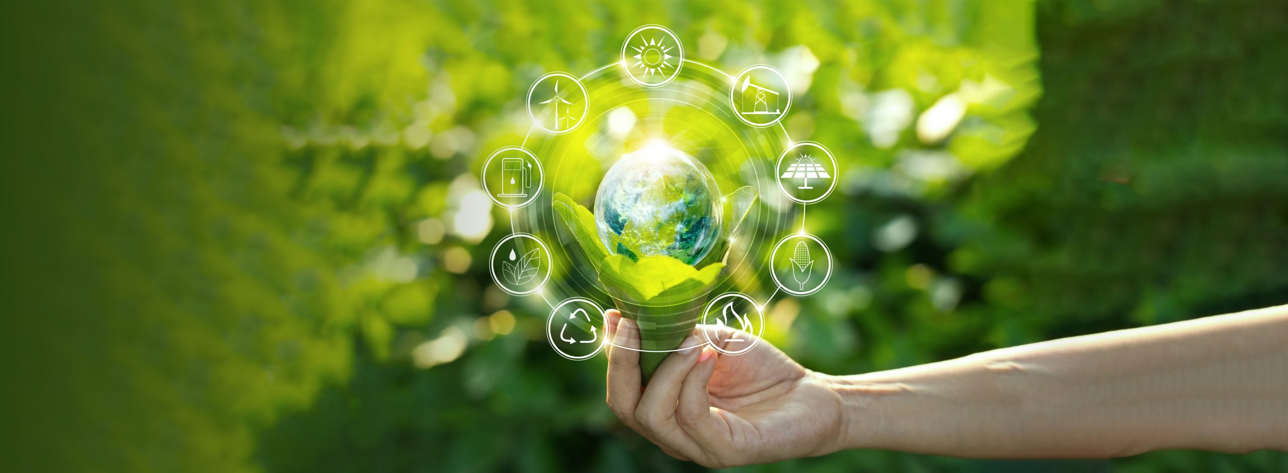 Environmental Sustainability Policy